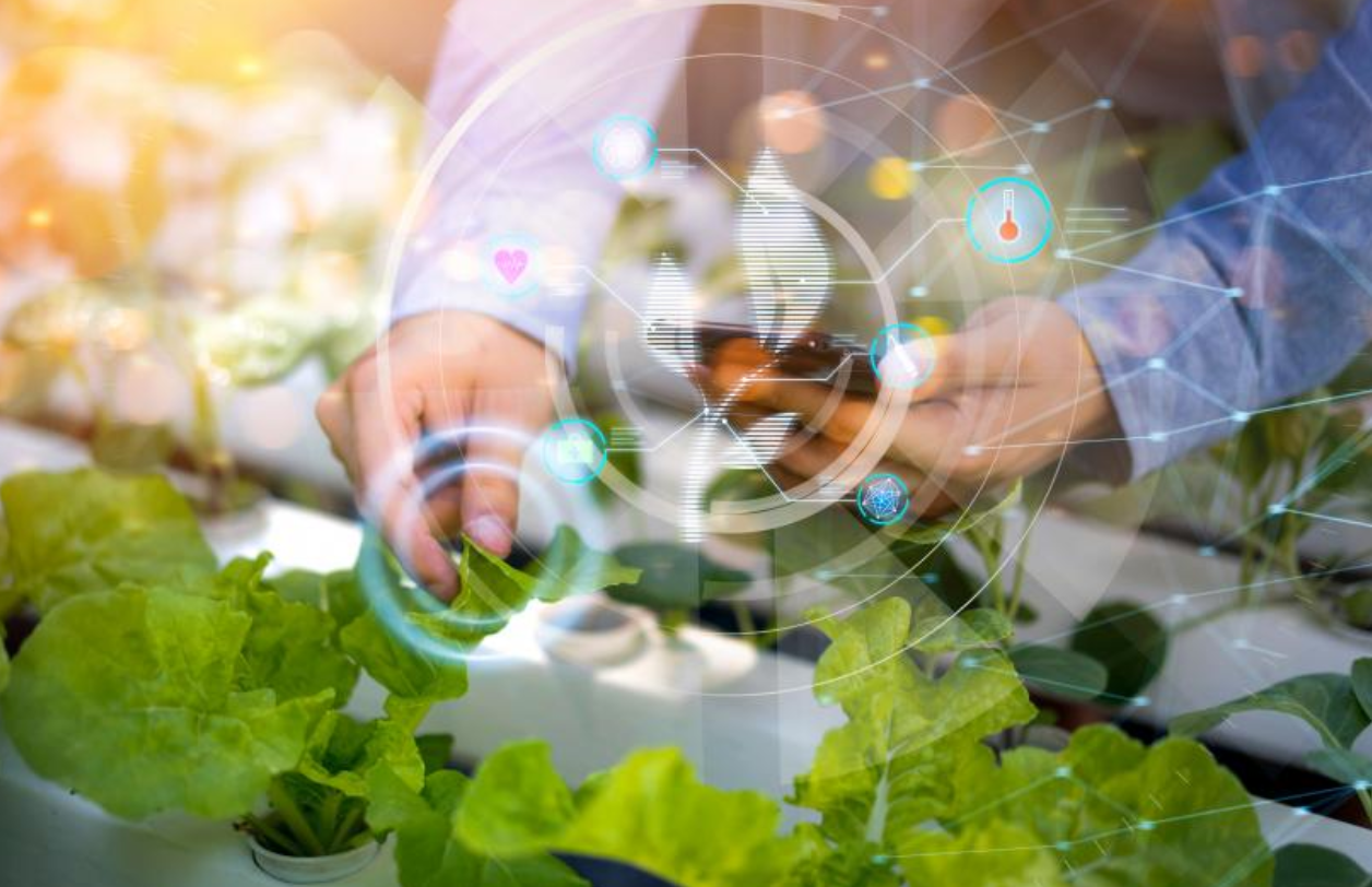 The ETF is skilling up the Western Balkans agri-food sector ...